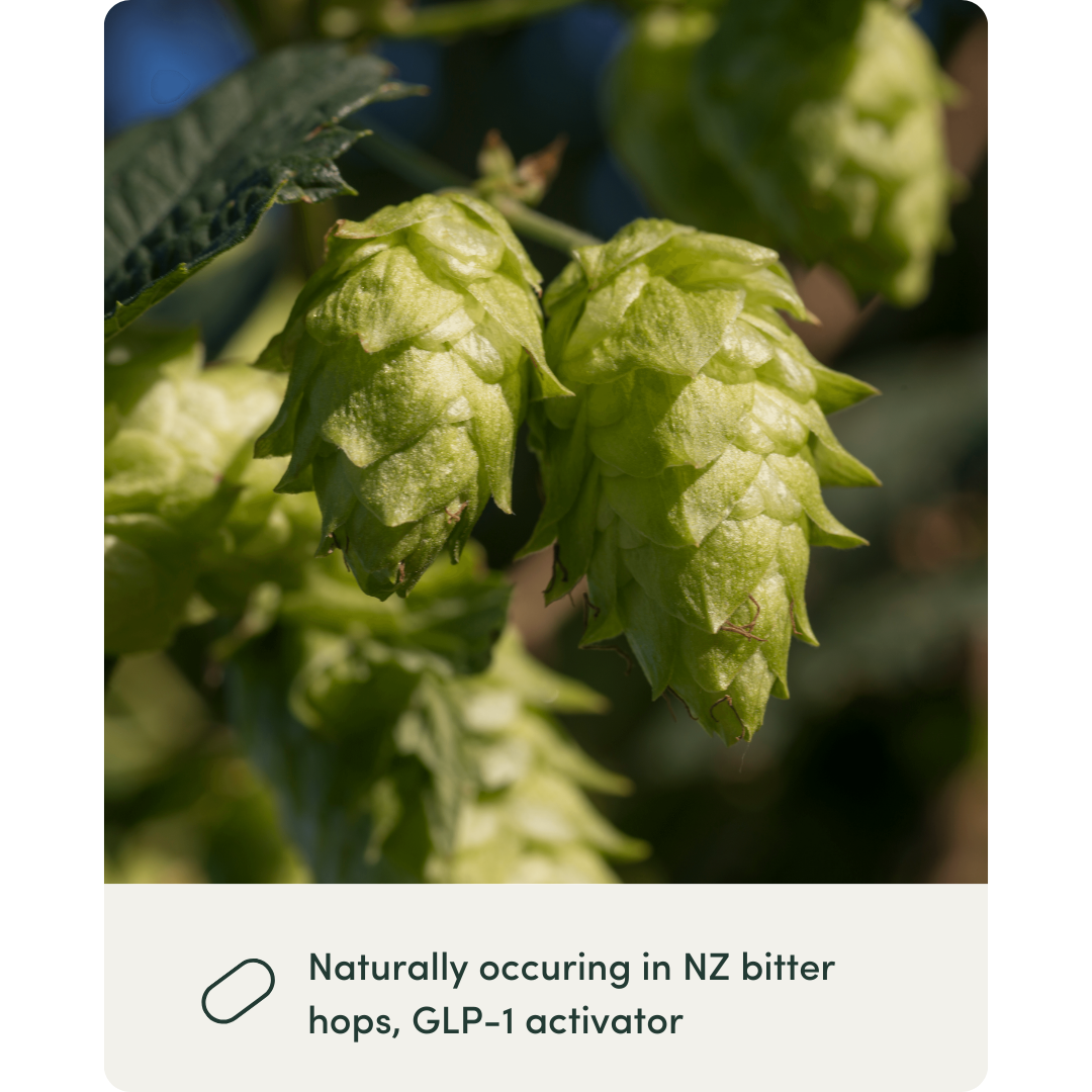 Calocurb - Natural Appetite Suppressants | Calocurb Wholesale – Calocurb - Wholesale